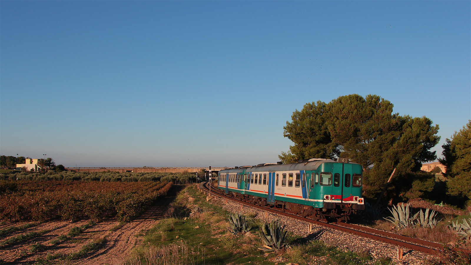 31 Ottobre 2016: tour sulla Palermo-Trapani | TrainsPictures.com