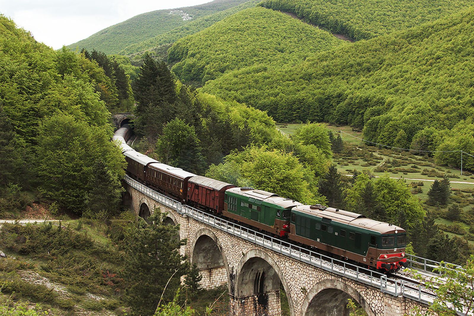 D345 1118 e D343 1030 Palena | TrainsPictures.com