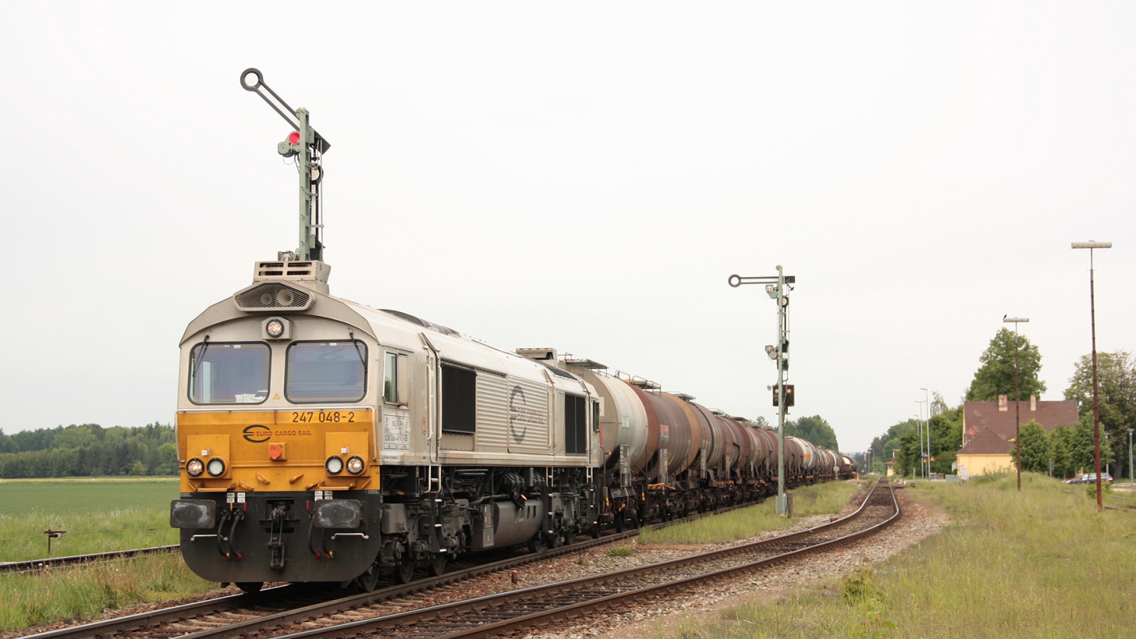 Euro Cargo Rail Class 66 247 048 Tussling | TrainsPictures.com